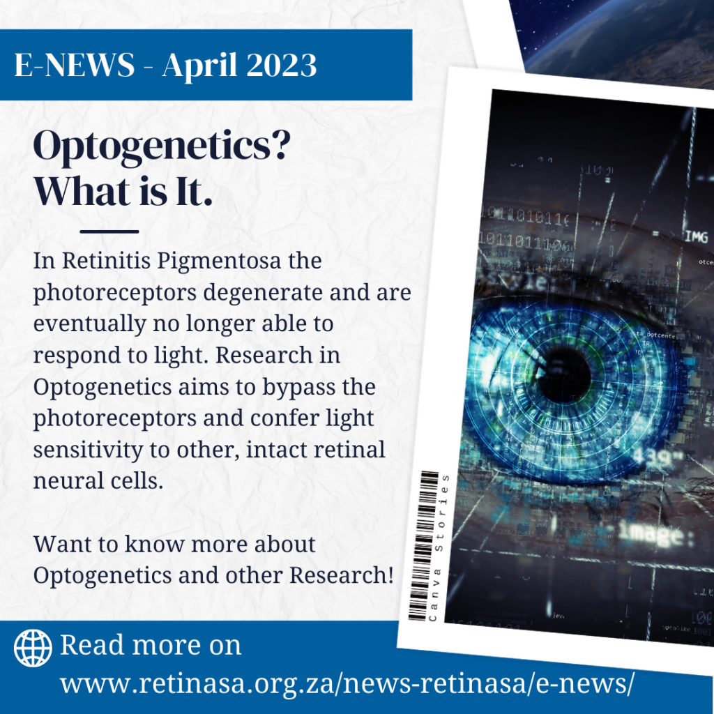 Retina South Africa | A Cure in Sight for Blindness